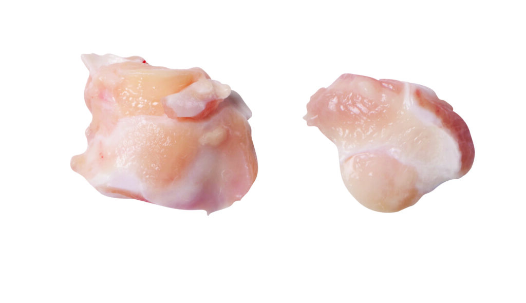 Chicken Parts – SEARA INTERNATIONAL – Try Seara. Joy in every bite.